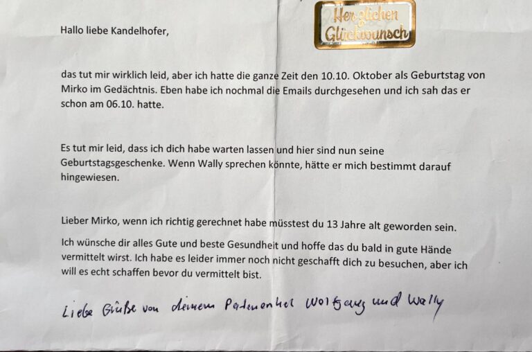 Mirko - Herzensangelegenheit - Mischling, geb. 2012, Schulterhöhe ca ...